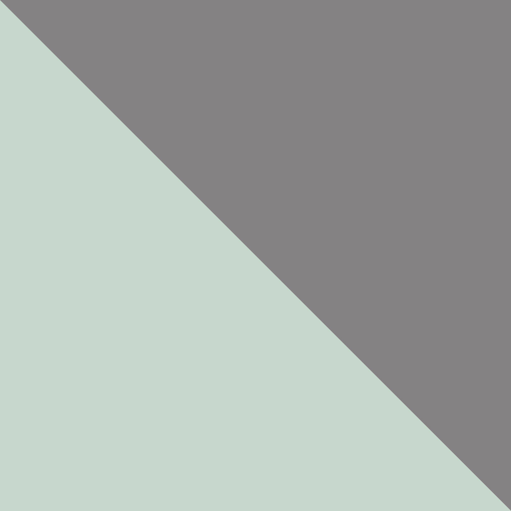 F2067 – Long Home