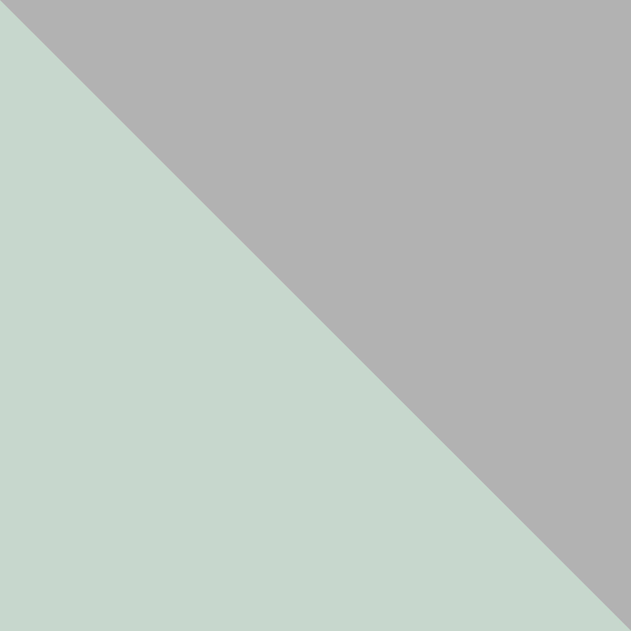 F2067 – Long Home